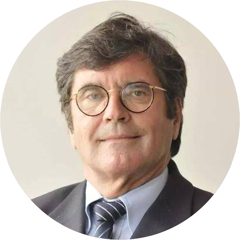 International Artificial Intelligence Industry Alliance ( AIIA )